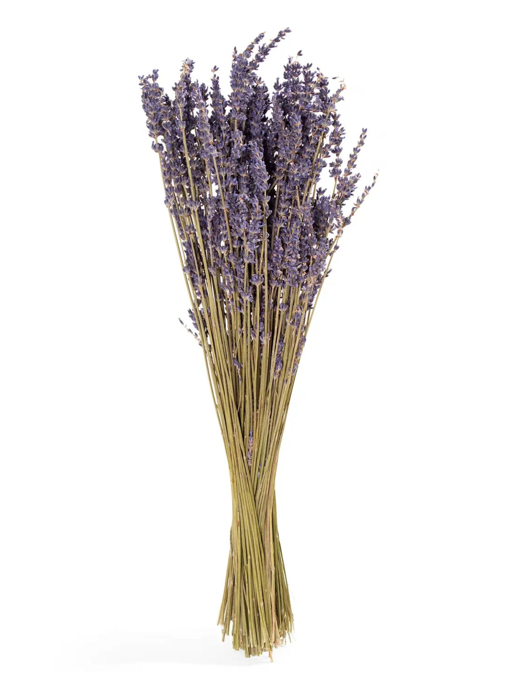 French Lavender Bundle – The Native One