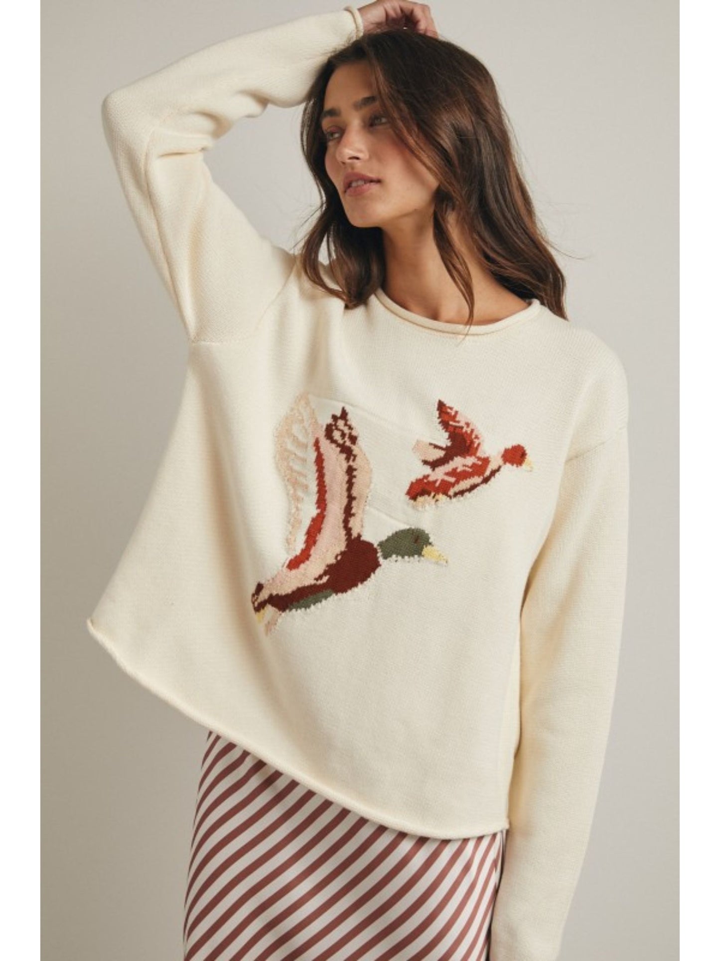 Flying Duck Duo Knit Sweater – The Native One